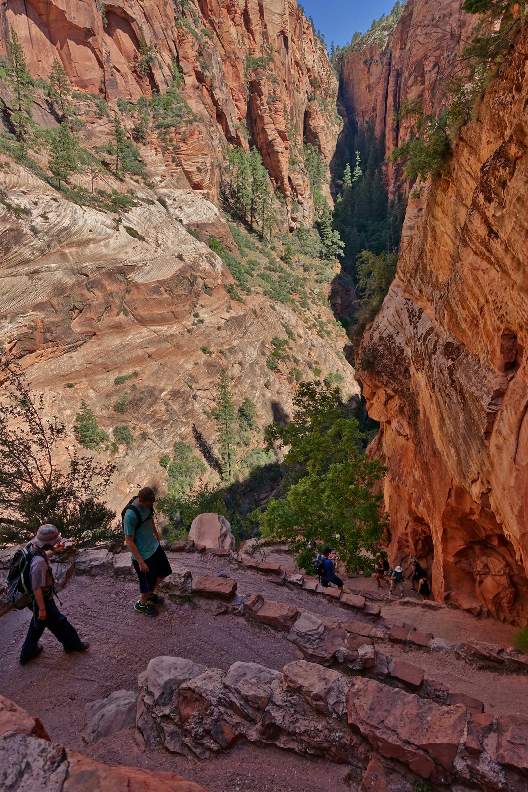 Zion National Park - Angels Landing Trail - Walter's Wiggles